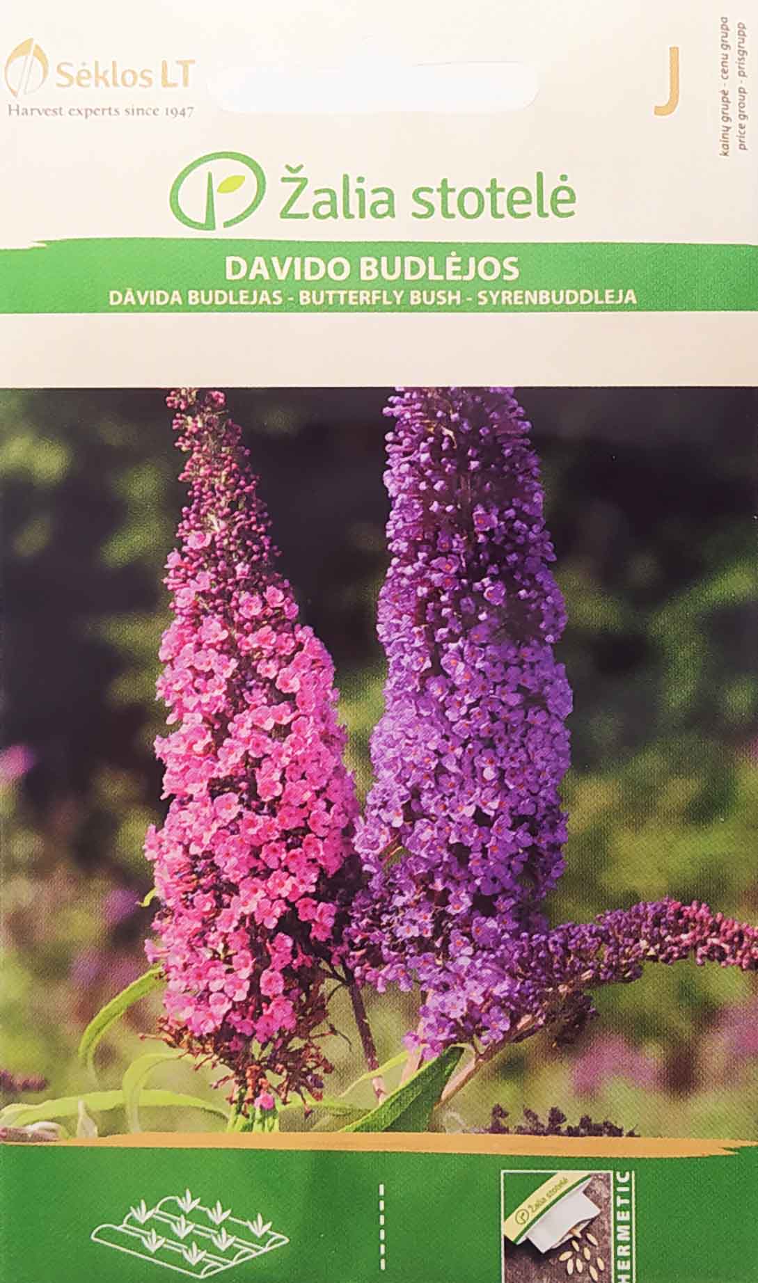 Μπουτλέια mix (hobby bag 0,1 γρ) - Γόνιμη Γη