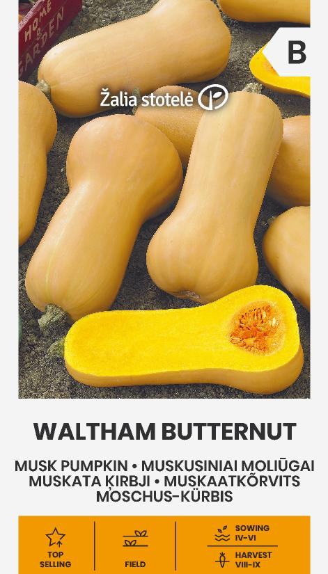 Κολοκύθα αναρριχώμενη Waltham butternut (hobby bag 2 γρ) - Γόνιμη Γη