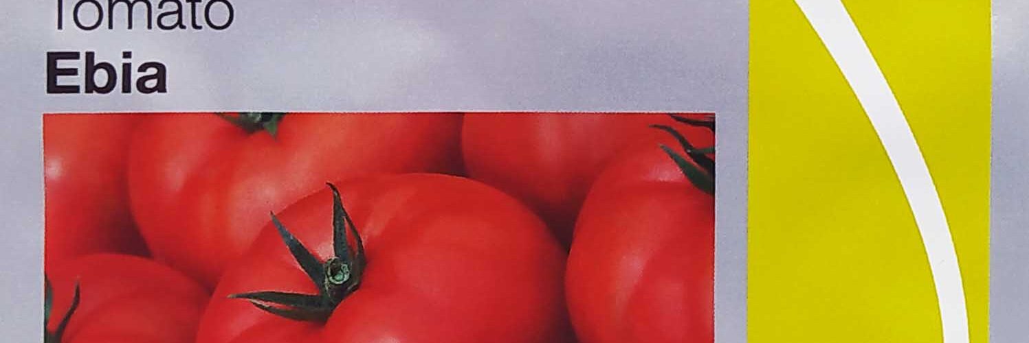 Τομάτα υβρίδιο χαμηλή Ebia F1 (φάκελος 1000 σπόρων) - Γόνιμη Γη